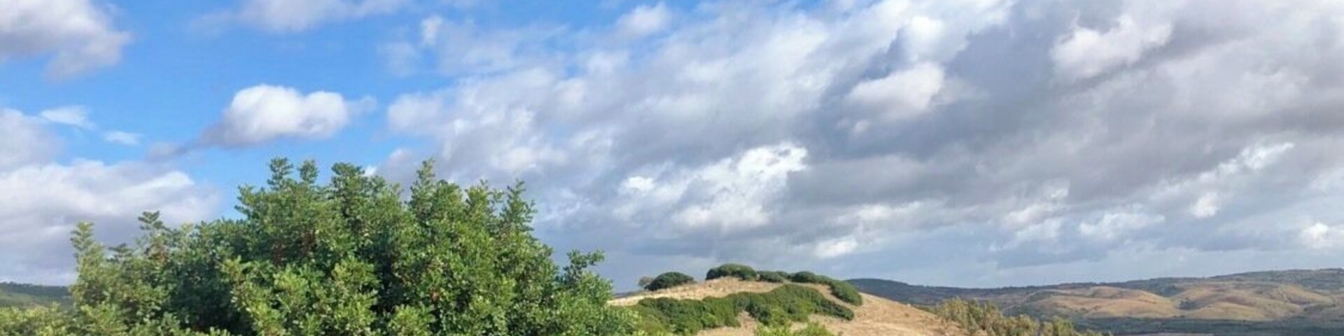 A view from this beautiful and delicious place!