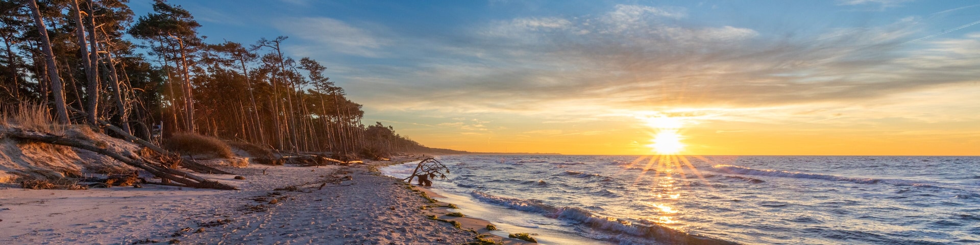 Uma praia com um pôr do sol, ondas do oceano e uma área arborizada.