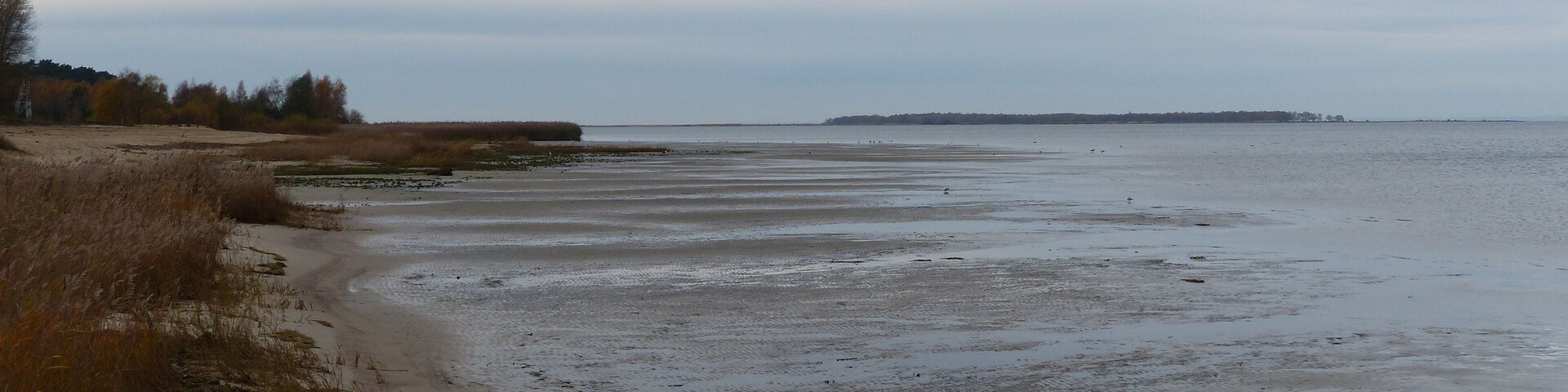 Freest, Windwatt am Peenestrom, Blick nach Norden