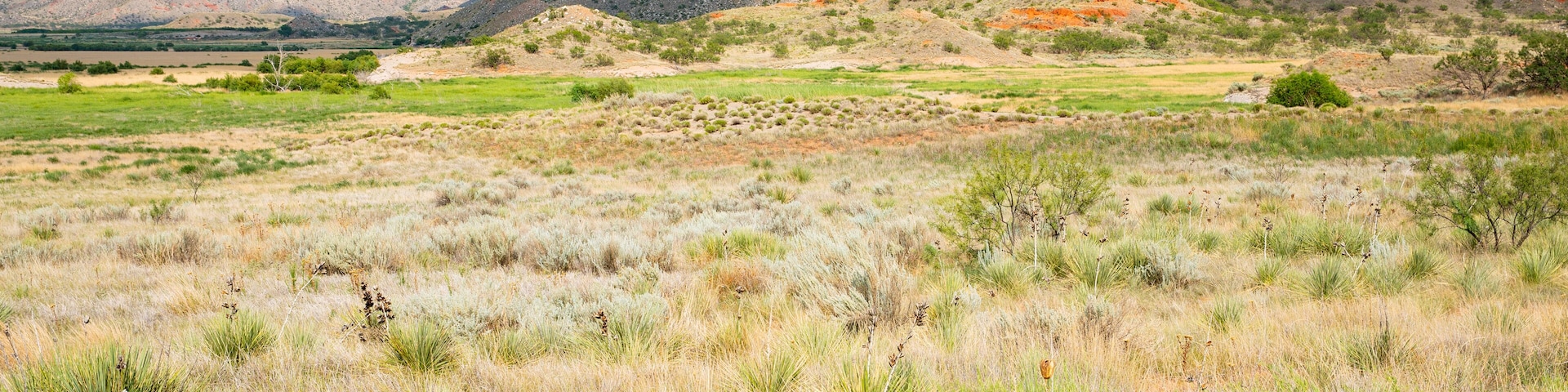 Um campo gramado com vegetação escassa e uma colina grande ao fundo.