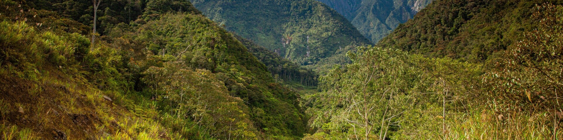 Mount Kinabalu National Park