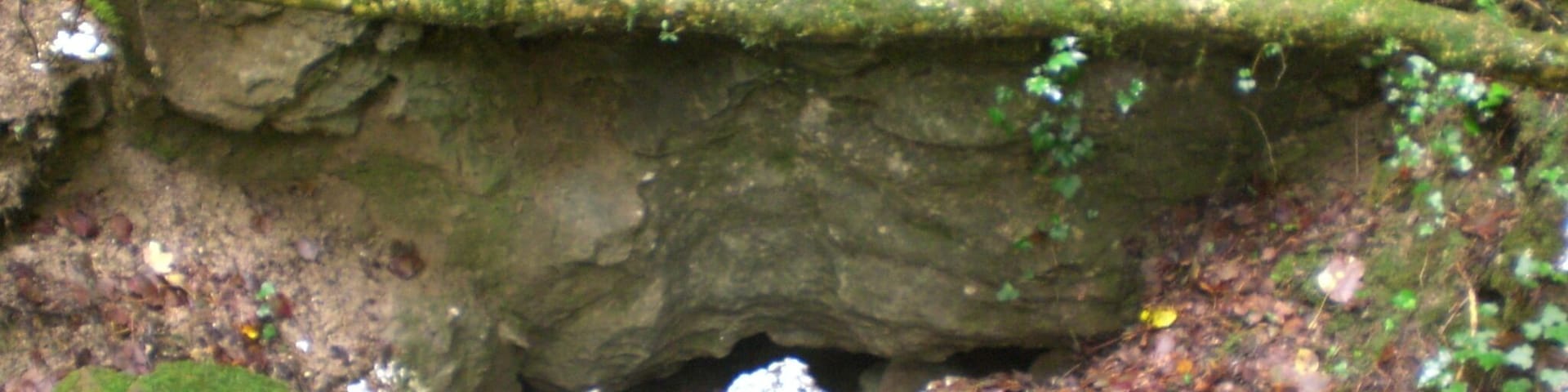 Entrada a una de les coves de Rotgers (octubre 2011)