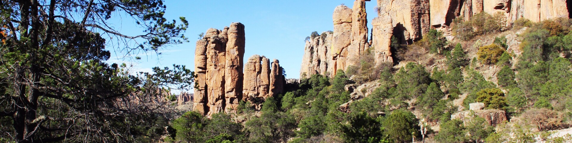 Paisagem rochosa com formações rochosas altas e estreitas e vegetação escassa.