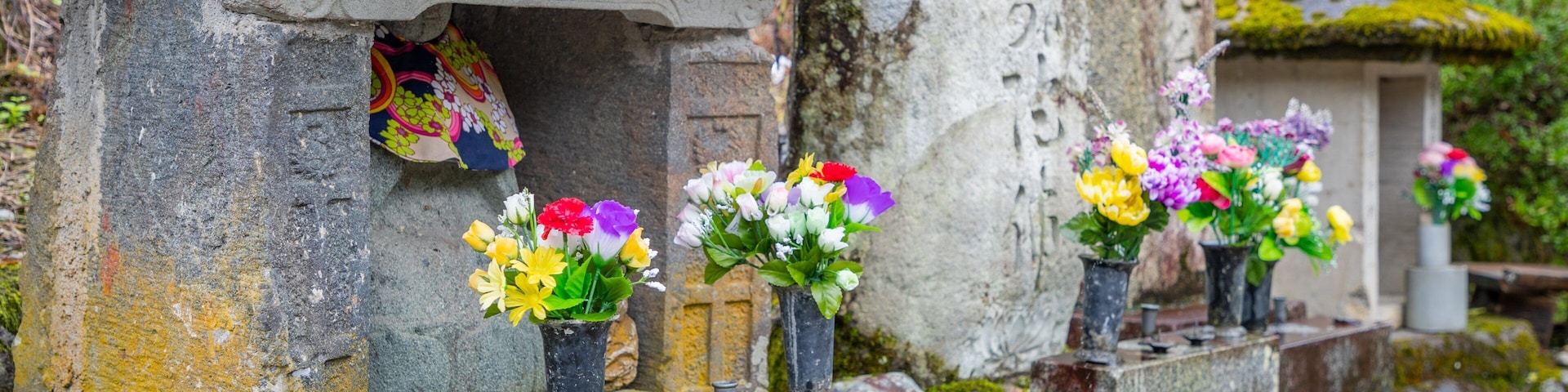 Gokayama featuring flowers and heritage elements