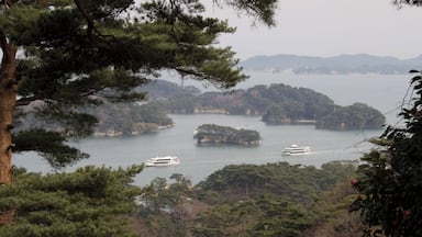 Paisagem costeira com florestas densas, um corpo d'água e alguns barcos.