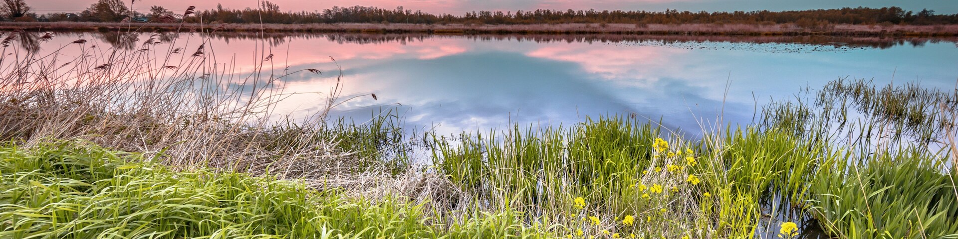 Um lago calmo com margens gramadas e um céu nublado.