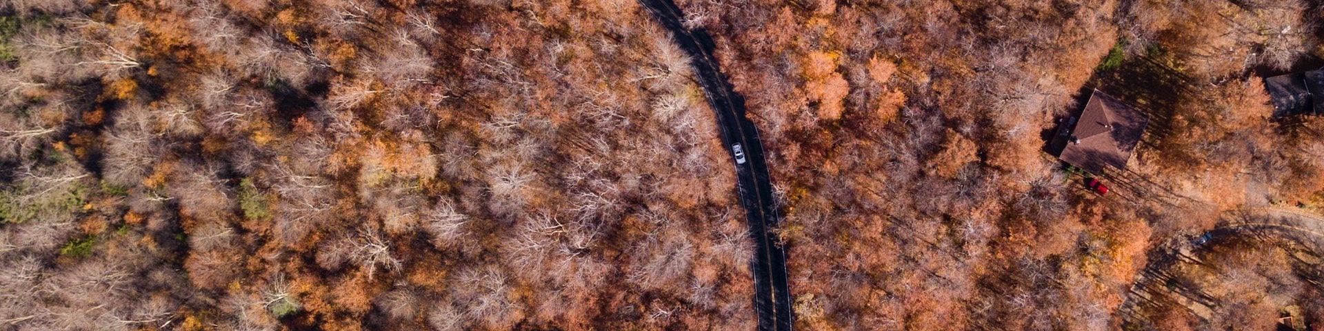 Autumn’s end making way for winter wonder
#ontheroad #autumn #foliage #car #roadtrip #road #travel #local
#roadtrip #travel #fall
#nature