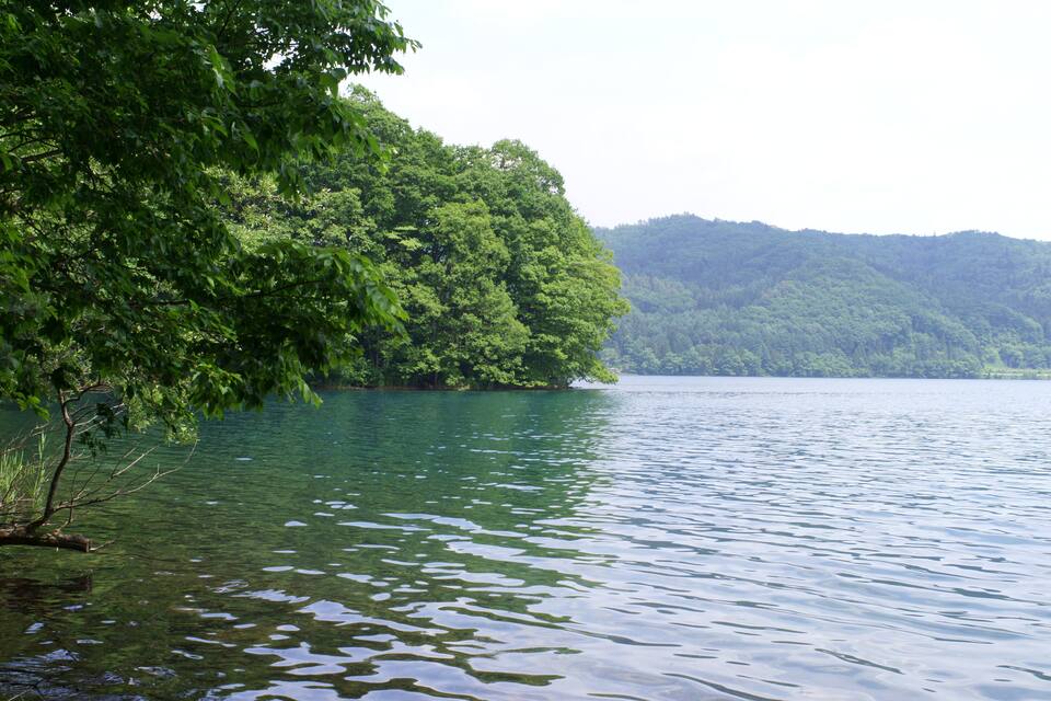 Um lago calmo rodeado por uma floresta densa e colinas verdes.