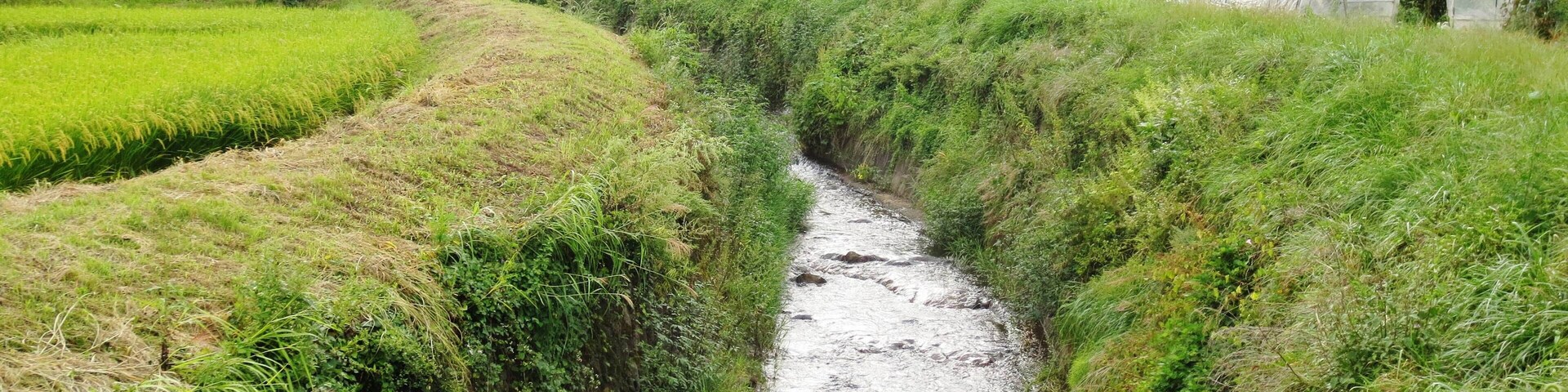 Kitazawa River (Sakuho, Nagano).