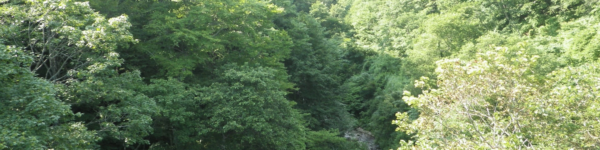 鍋越峠橋から上流