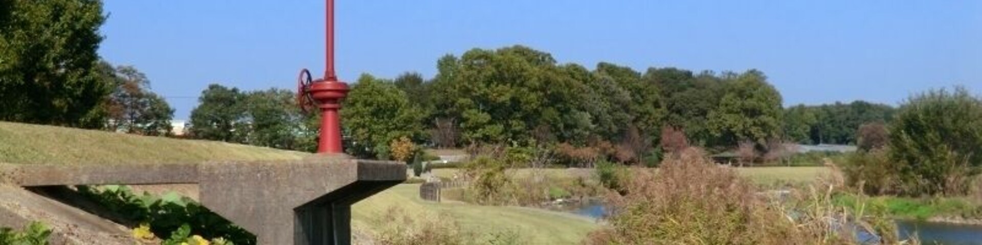 蔓巻公園 2011年11月