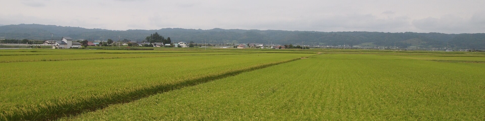 只見線からの風景
