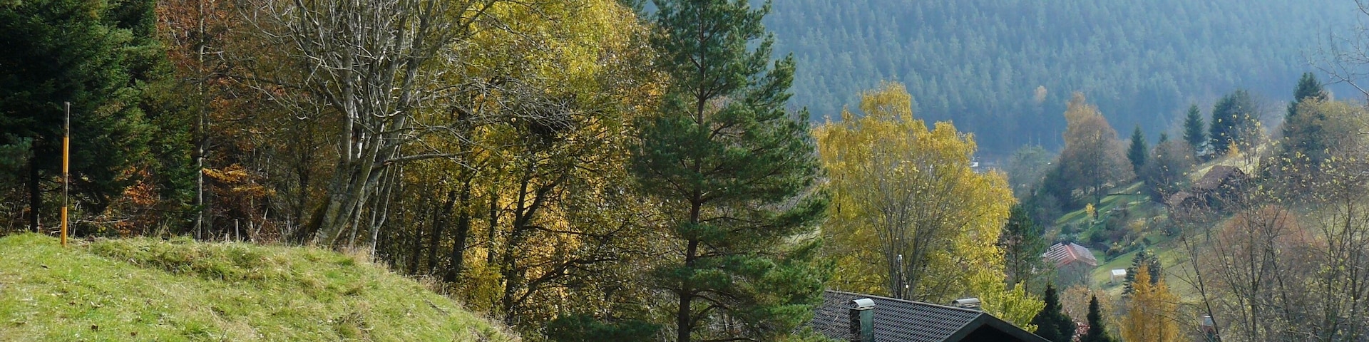 Blick Richtung Enzklösterle