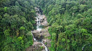 Uma cascata despencando por uma floresta densa.
