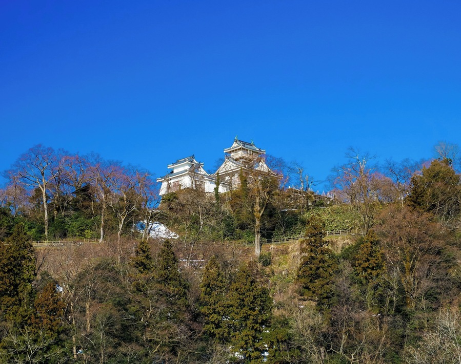 福井県大野市、越前大野城