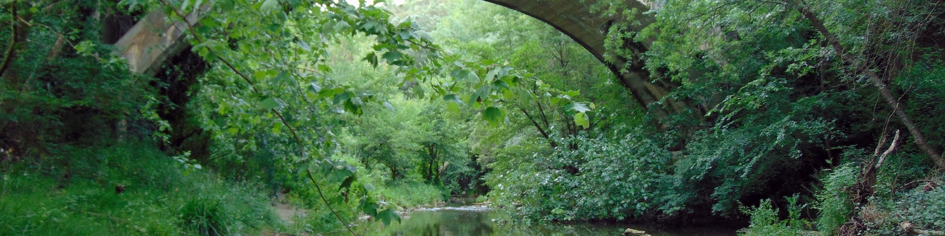 Pont sobre el Riu Ser (Serinyà)