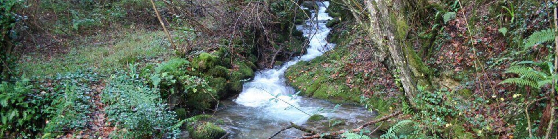 Reguero del Pigueña