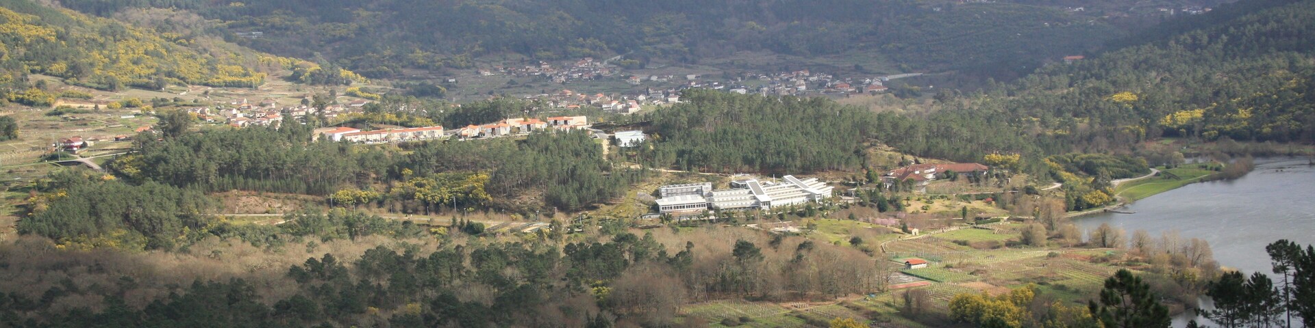 Ribadavia, Province of Ourense, Spain
