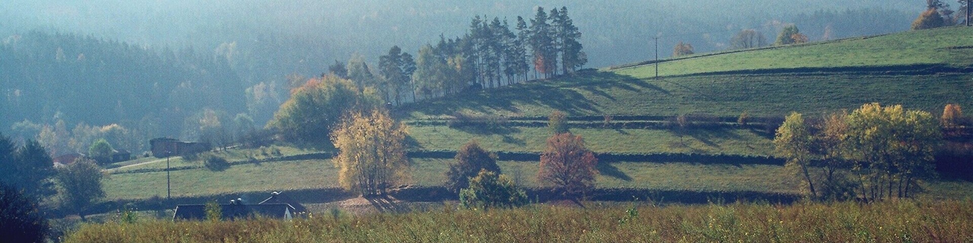 Obererlbach (Haundorf), landscape