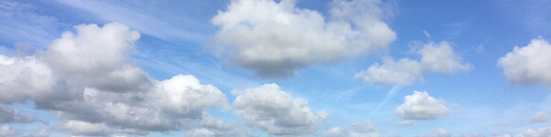 Netherlands landscape