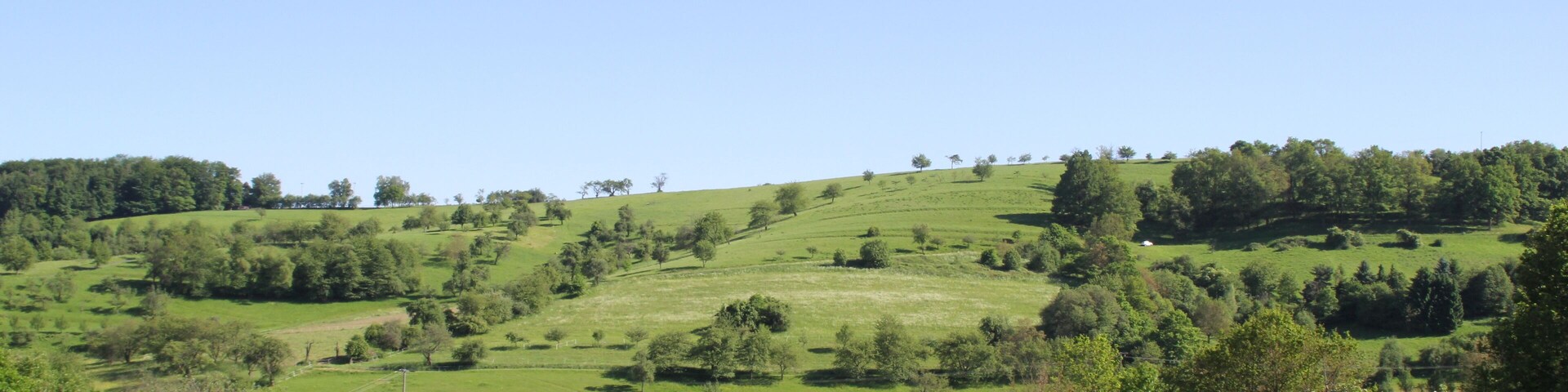 Die Rappacher Höhe vom neuen Mömbriser Friedhof aus gesehen