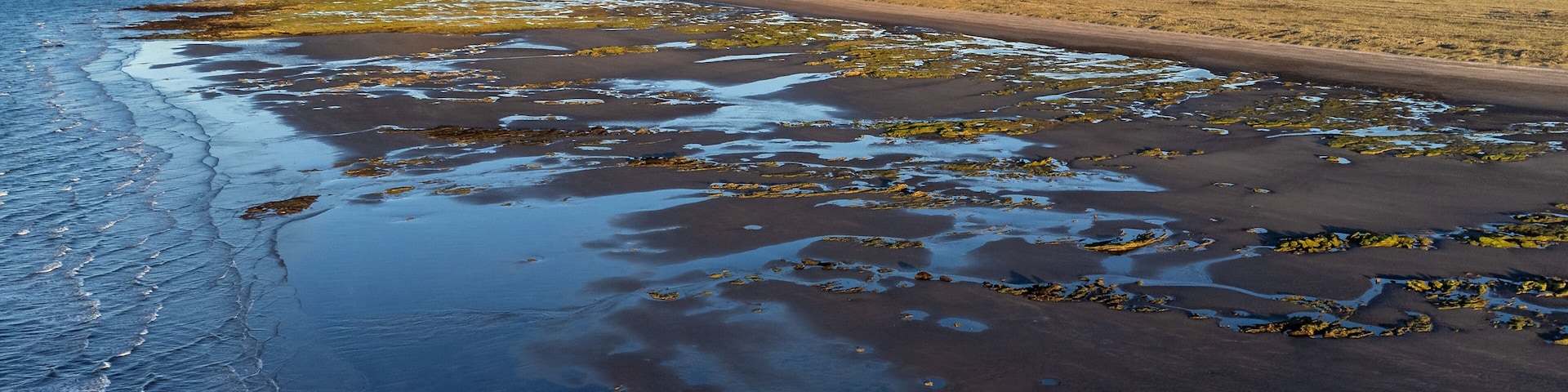 Paisagem costeira com uma praia arenosa, algas marinhas e céu claro.
