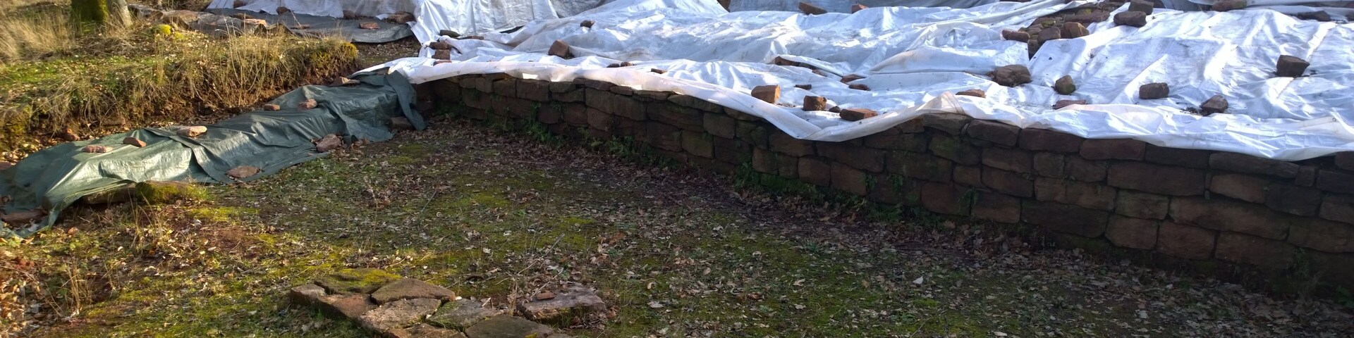 Ausgrabungen auf dem Gotthardsberg zwischen Amorbach und Weilbach (Lkr. Miltenberg, Unterfranken) zur Burg Frankenberg