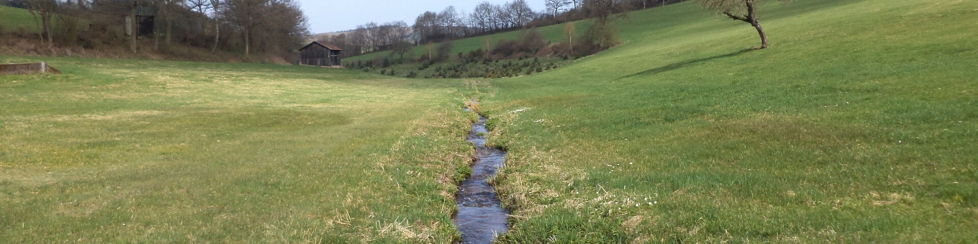 Der Kalbach östlich von Pfaffenhausen