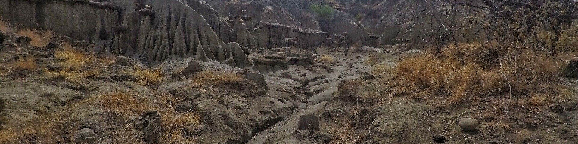 In this desert you have two parts: a red sanded and a grey-green sanded part.
This is the beautiful grey-green part.