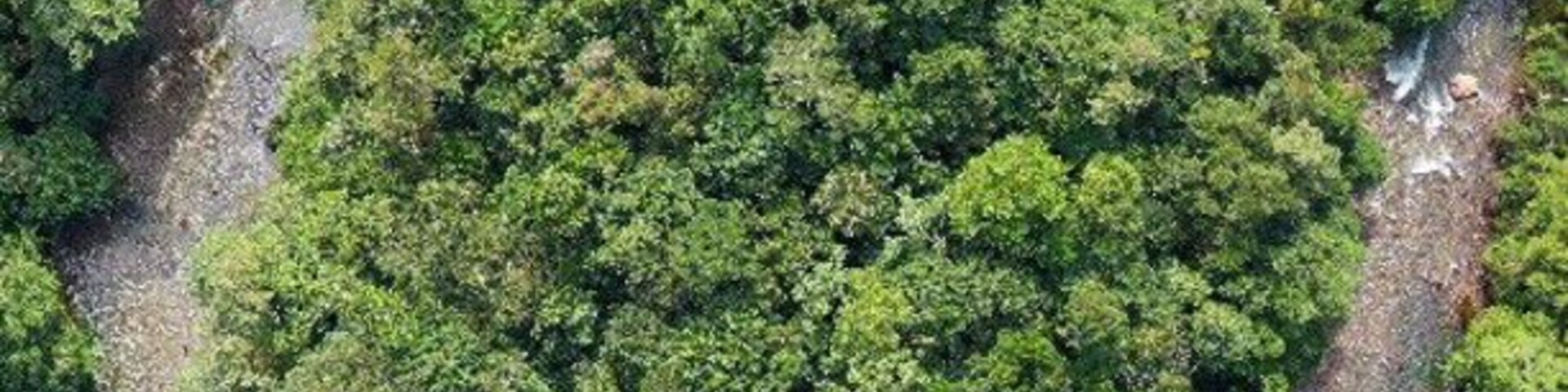 Beautiful Rio Claro from above. Had an amazing time river rafting down this 🏄🏽♂️
#rioclaro #antioquia #colombia #riverrafting #river #nature #aerial #photography #nature #reserve #southamerica #travel #trees #arboles