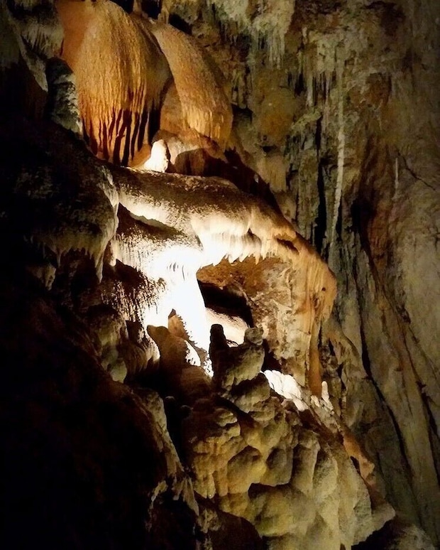 One of the spectacular formations inside the Figtree Cave at Wombeyan Caves Karst Conservation Reserve.
Although it's not as adventurous as the various nearby wild cave systems such as those at Tuglow and Bungonia, it's a top spot for camping, wildlife watching and for learning about the geology and history of these remote and magnificent caves.
The caves had been a special place to the local Gundungurra people for hundreds of generations, but there is little evidence they used the caves themselves for shelter.
Europeans first discovered Wombeyan Caves in 1828 when explorer John Oxley and pioneering grazier John Macarthur explored the areas between Berrima and Oberon looking for grazing land. They stumbled upon the massive entrance to the Figtree Cave, the Victoria Arch, at the end of a cleared box canyon.
In 1868 the area was set aside by the colonial NSW government as a reserve and was staffed by a caretaker, Mr Charles Chalker. Chalker explored the area extensively and discovered many of the dozens of caves in the Wombeyan system.
The area became very popular with tourists and geologists alike, and in 1900 a road was opened, linking Wombeyan Caves to Mittagong in the east. An account of this newly-pushed-through road is found in one of my favourite books, "Landlopers" by John Le Gay Brereton, published in 1899.
I have read newspaper letters to the editor from the 1910s where the writers bitterly whinge about the state of the Wombeyan Caves Road between the Caves and Mittagong. Over 100 years later, people are still whingeing about it haha. I call it The Road Of Doom and it's a picturesque drive which is even a little adventurous at times.
The Wombeyan Caves themselves were popular throughout the first half of the 20th Century and the Figtree Cave in the photo was opened to the public as a guided show cave in 1968 and it's been inspiring visitors ever since.