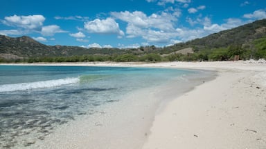 Uma praia com águas turquesa cristalinas, areia branca e colinas verdes ao fundo.