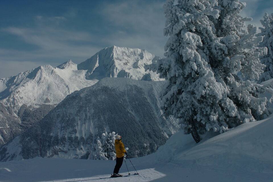 Um esquiador numa encosta nevada, com árvores cobertas de neve e montanhas ao fundo.