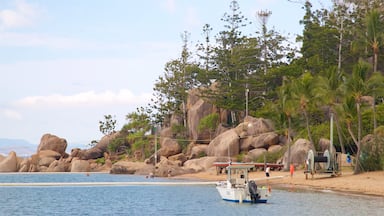 Um barco em águas calmas, uma praia arenosa, pedras grandes e palmeiras.