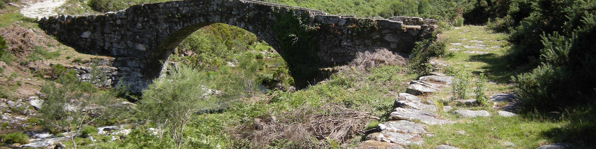 Ponte de Liñares. A Lama