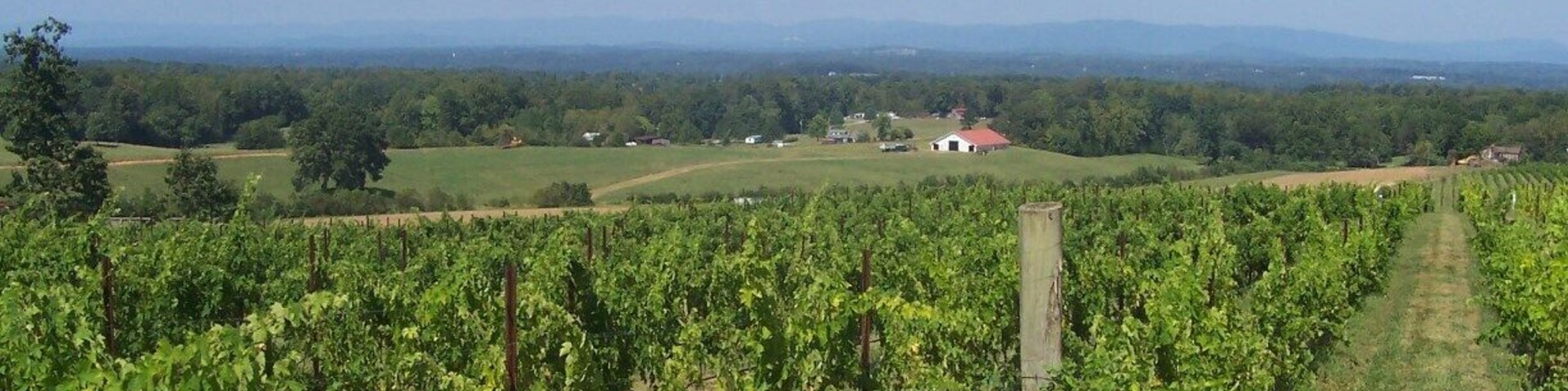View of the Blue Ridge Mts from front porch of the Rafaldini Vinyards.