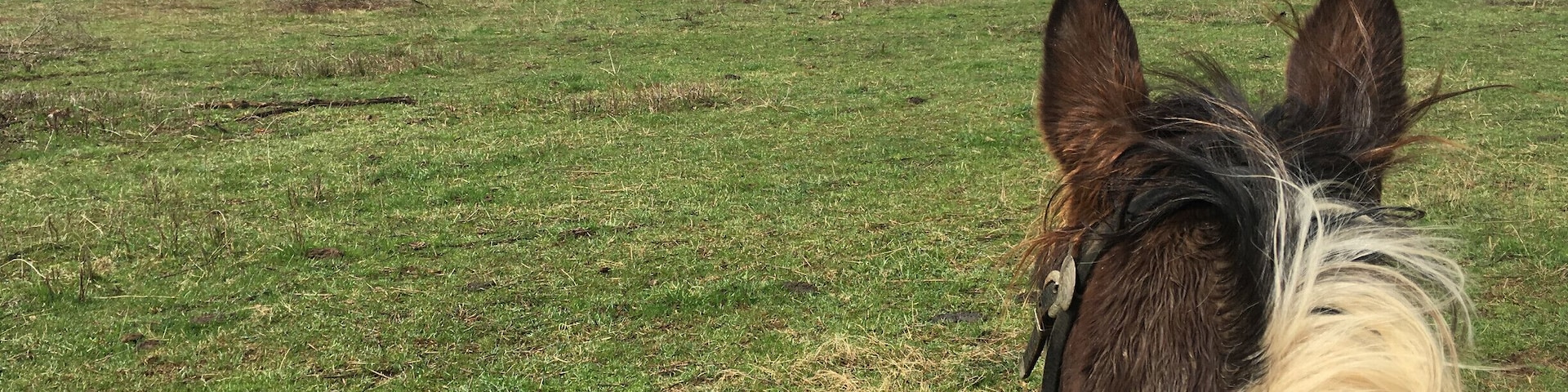 Meramec Farm's is  located in a place called Bourbon, MO the town has been in operation since 1853. The name Bourbon refers to bourbon whiskey and is believed to be the only town in the United States to be named after bourbon whiskey
The Farm is set on the spring-fed Meramec River in East Central Missouri, Meramec Farm has been in the same family since 1811. It's a working cattle ranch surrounded by wild country. The ride begins at your cabin door!  
In the Fall it is a great place to see the leaves change and in the Summer come down here to float the river! 
#country #horses #outside #green #Missouri #place #cabin #historical #roadtrip #floating #camping #hills