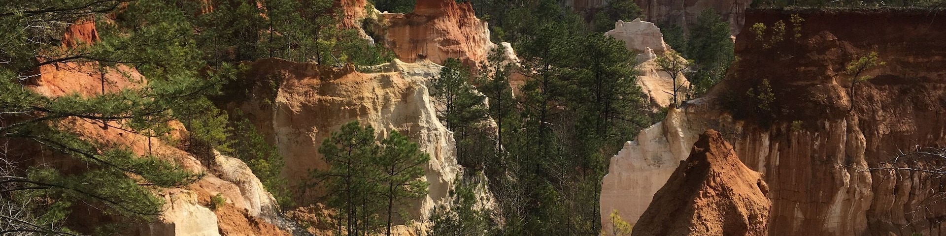 amazing colored sands and clays to be seen in Providence Canyon aka Georgia's Grand Canyon - easy walk on the white trail takes you around the base of canyon and up to the rim - can be wet and muddy in the bottom - good photo spots around the rim and picnic areas/restrooms and visitors center $5 parking fee #georgia #hike