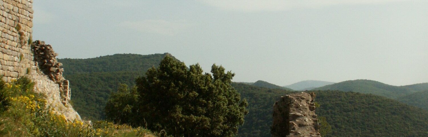 This building is indexed in the Base Mérimée, a database of architectural heritage maintained by the French Ministry of Culture, under the reference PA00102907 .