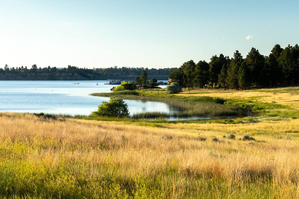 Um lago tranquilo rodeado por campos gramados e árvores densas.