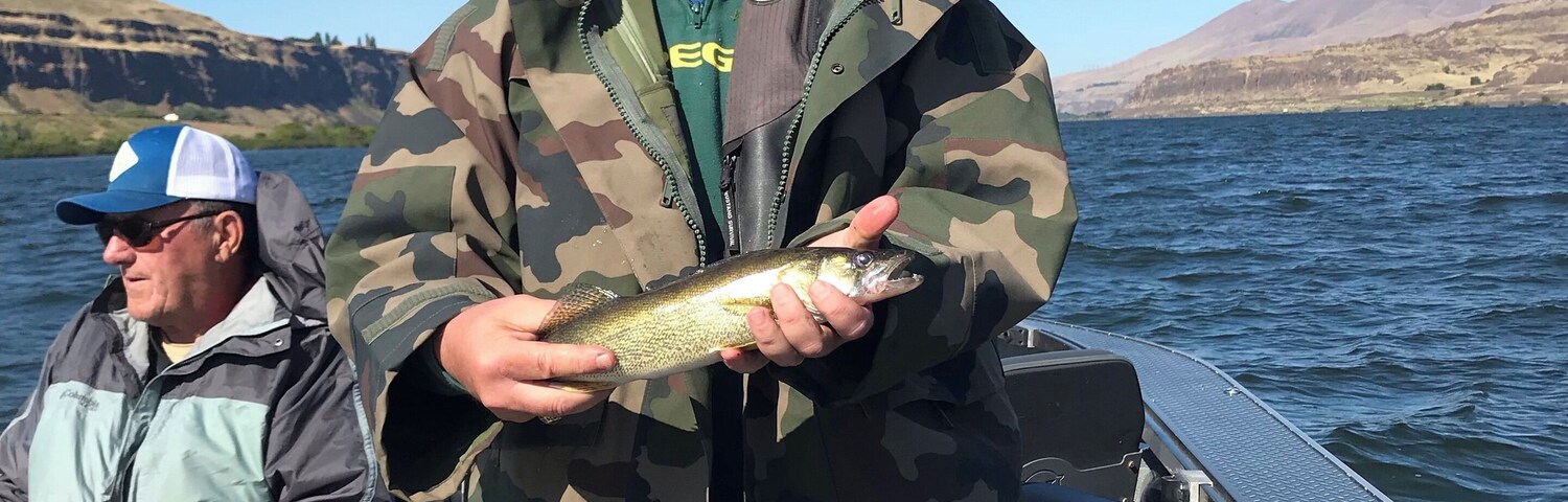 My first Columbia River walleye taken near Rufus, OR.