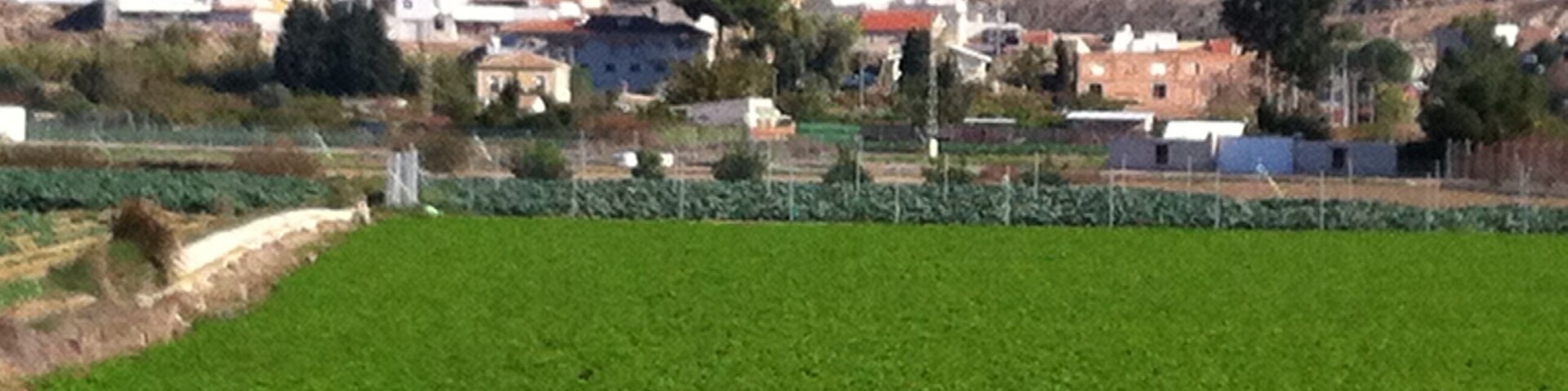 Mota del Rio Entre Molina y Ribera de Molina