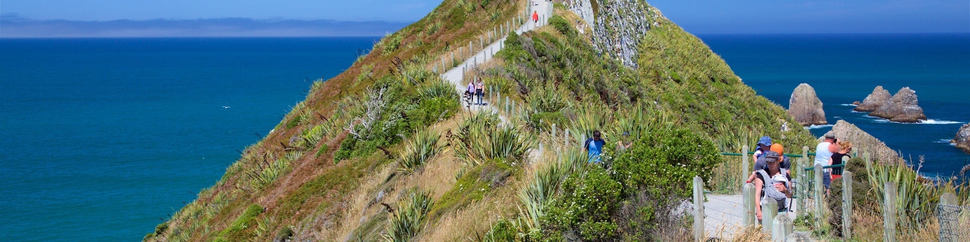 Ahuriri Flat which includes general coastal views and a lighthouse