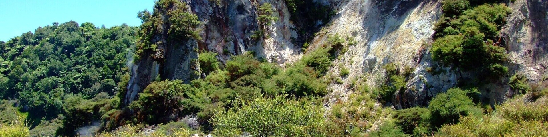 Waimangu's steaming landscape