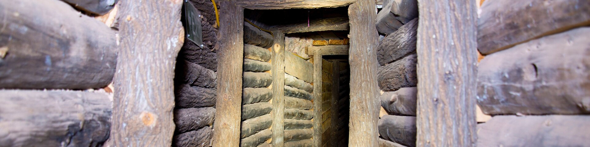 Interior de cabana de toras com uma viga de madeira central e uma escada.