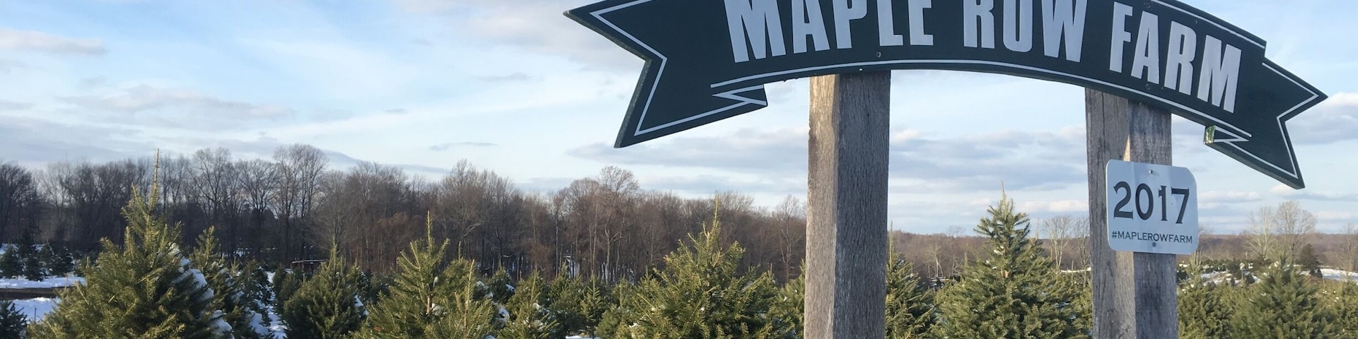 Gorgeous Christmas tree farm just in time for the holiday! Family tradition to go and pick out our tree and cut it down ourselves and bring home to decorate. Nothing better than the fresh smell of a new tree to start off the season.
Staff is wonderful, help cutting down the tree if needed and loading it up for you. Try out their yummy hot chocolate and apple cider too!!