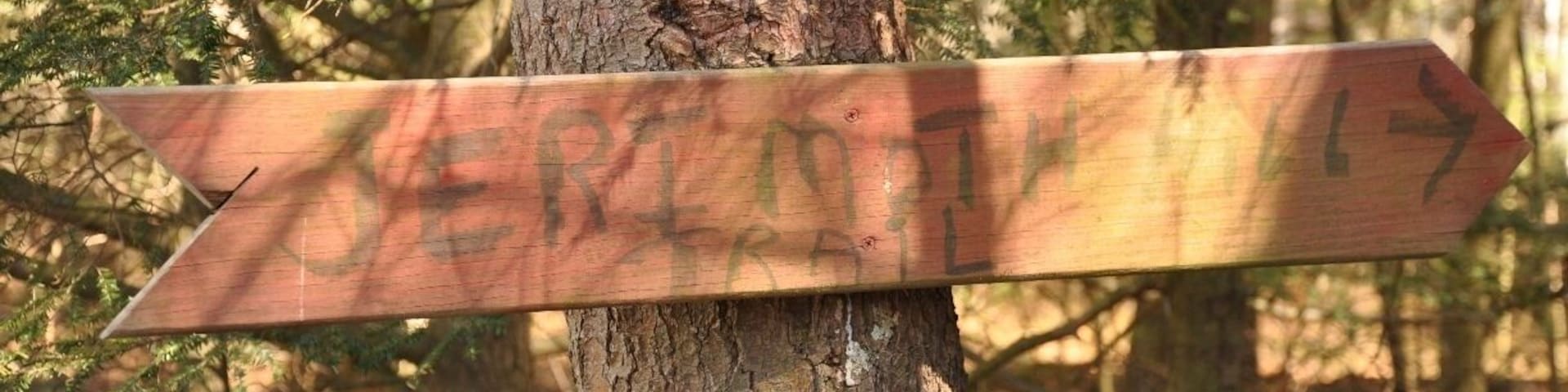 Sign marking the trail through the woods to the actual "summit" of Jerimoth Hill, Rhode Island's high point.
