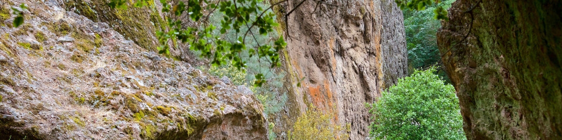 Pinnacles National Park featuring tranquil scenes