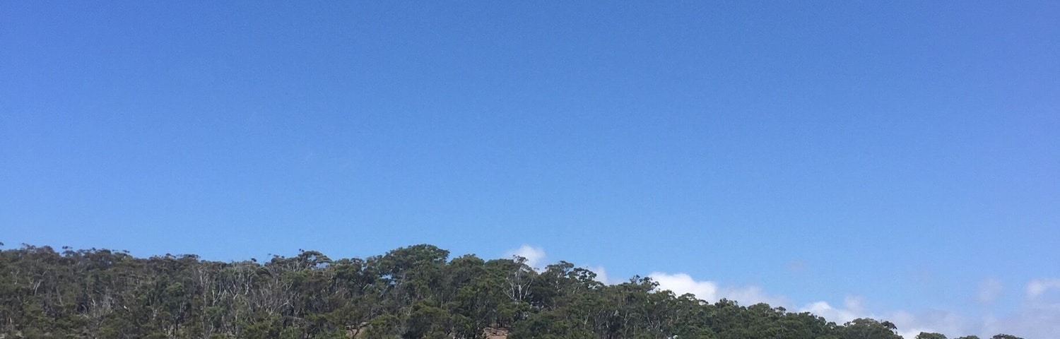 Pambula river on a sunny day. Crystal clear water, so clear you could see the fish! Definitely recommend this quiet spot for a sun bake ☀️ or a fish 🎣