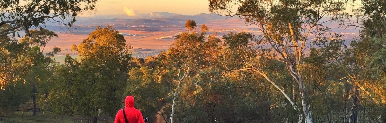 If you head up to Mt Majura from the Hacket gate it will take approximately 45 minutes at a slow pace to reach the summit. And if you time it right, you can get up there just before the sun rises...
#goldenhour